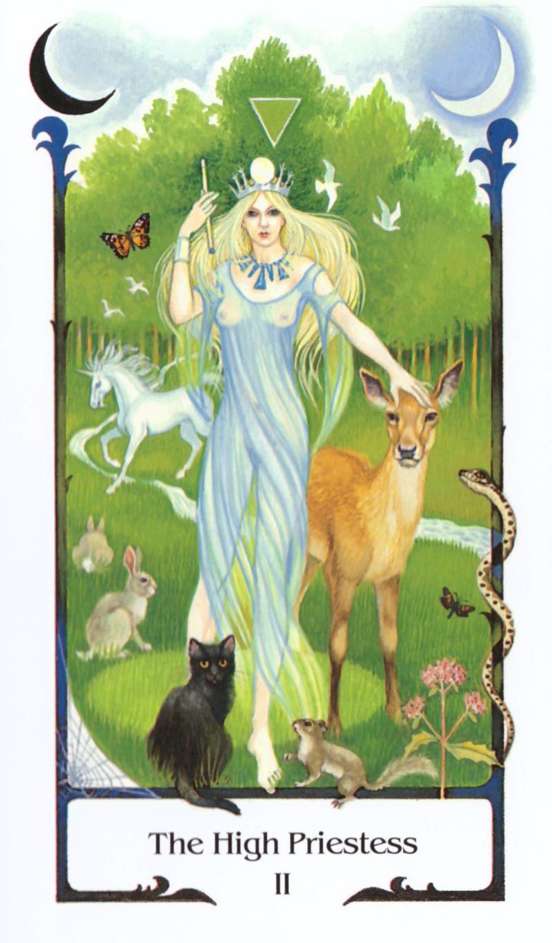 Tarot Old Path – Deva Multidimensional Box